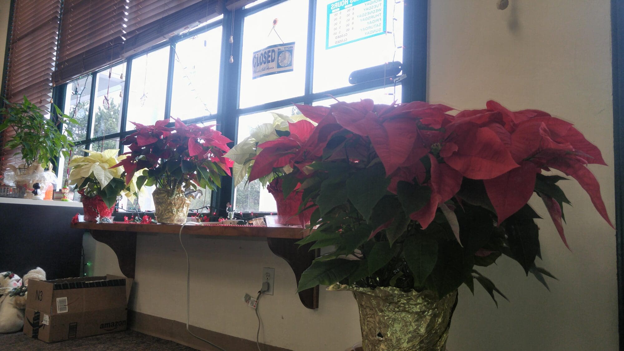 Merry Christmas! - Dougherty Insurance Agency